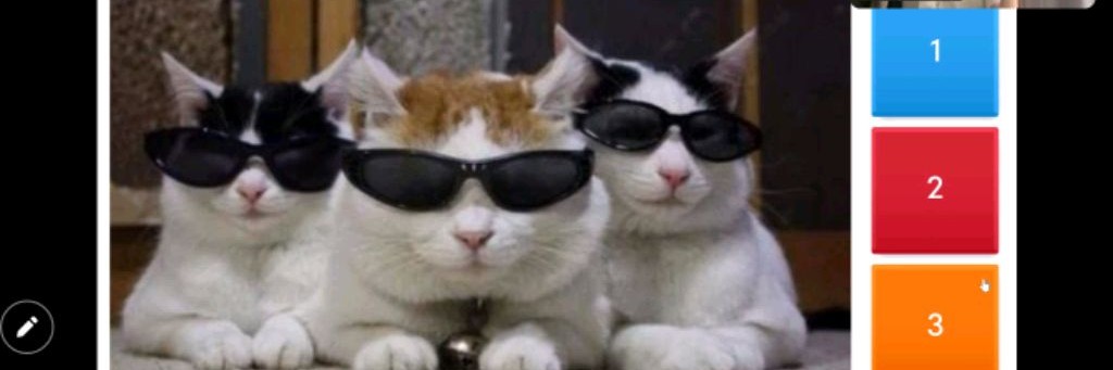 Моё Творение 🌹🌹🌹