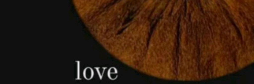 ♡~𝙿𝚘𝚕𝚒 𝙿𝚕𝚊𝚎~♡