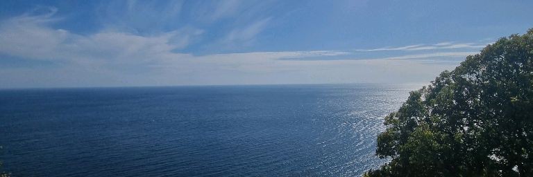 Оля🫰 про жизнь