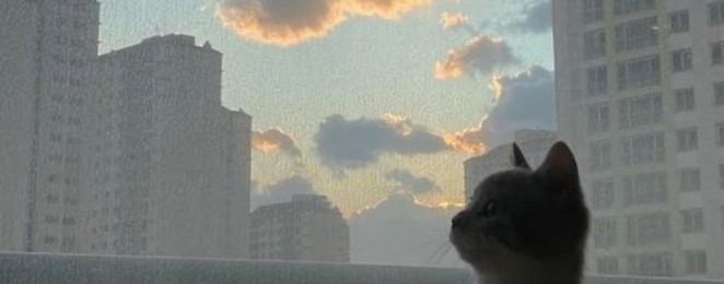 Симба И Моня