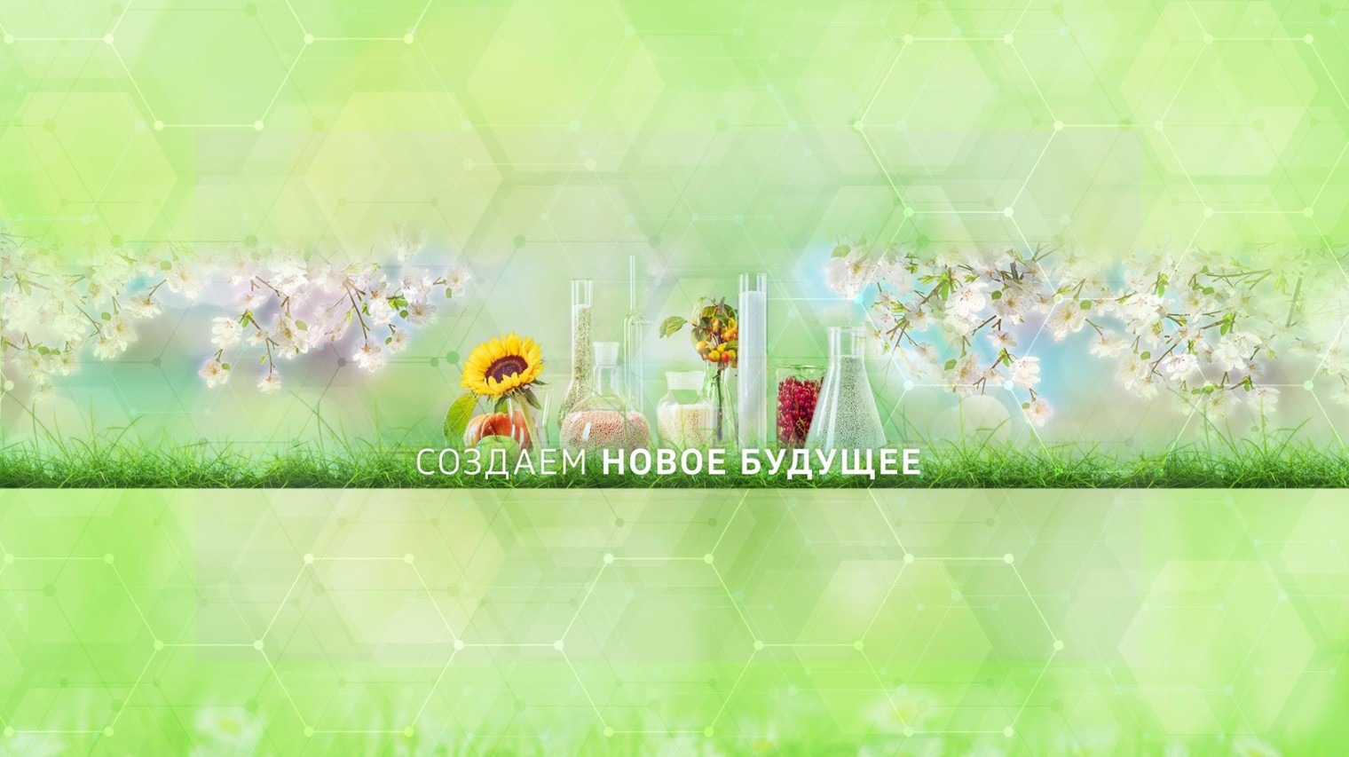 Группа Акрон