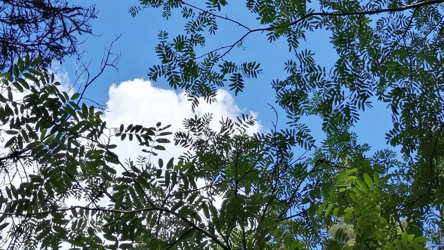 Провинциальная Россия