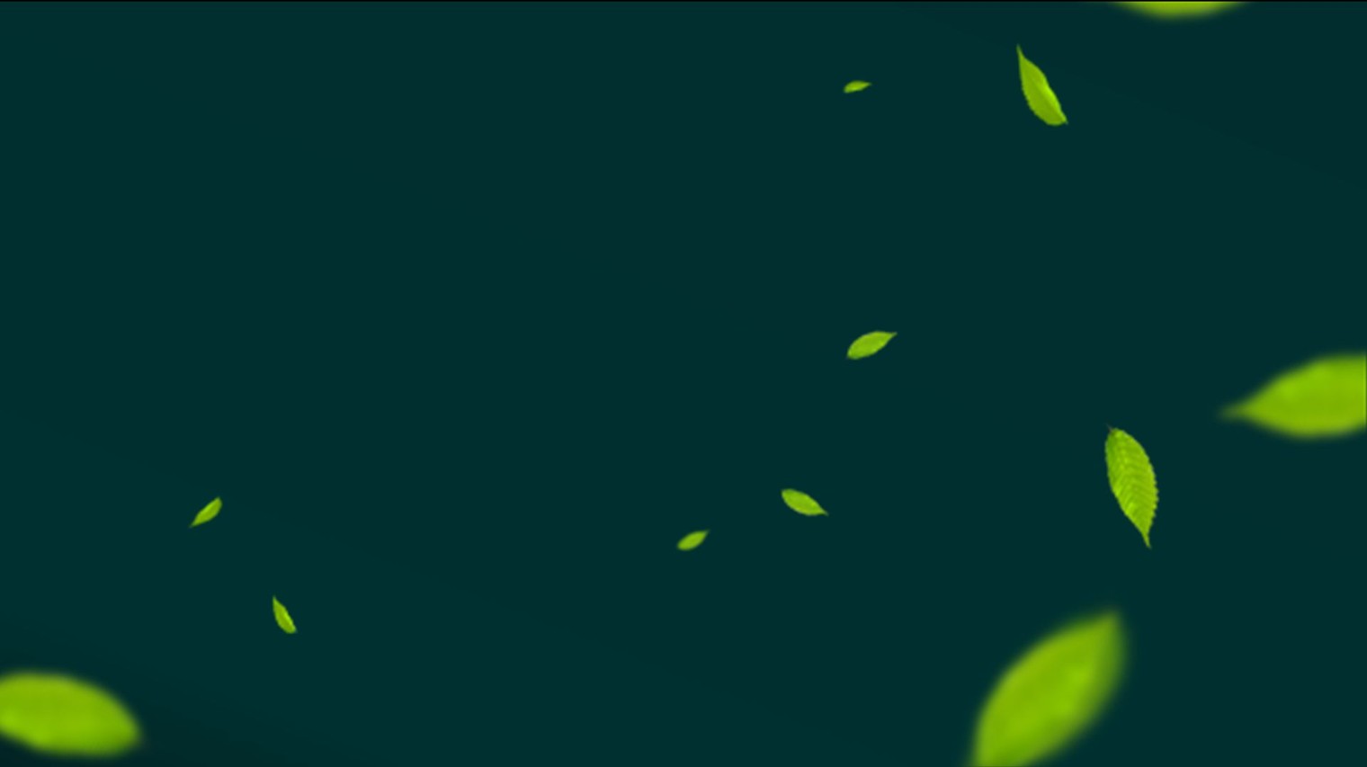 Просветительский центр "ВЕКЪ"