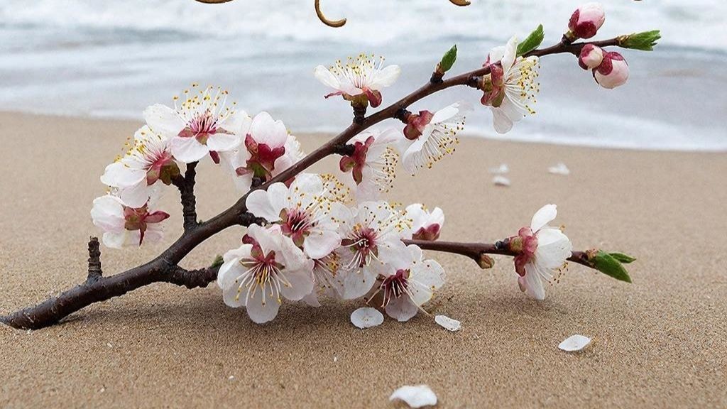 Белуза - философские размышления о жизни