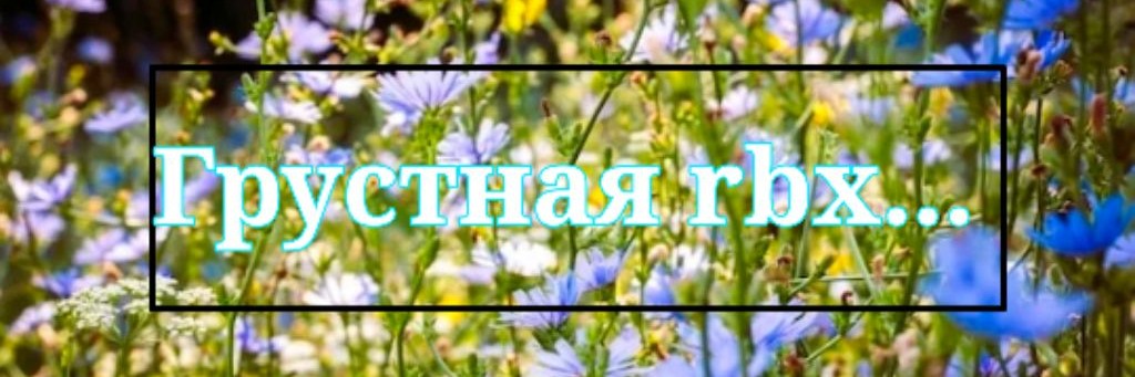 Грустная rbx...