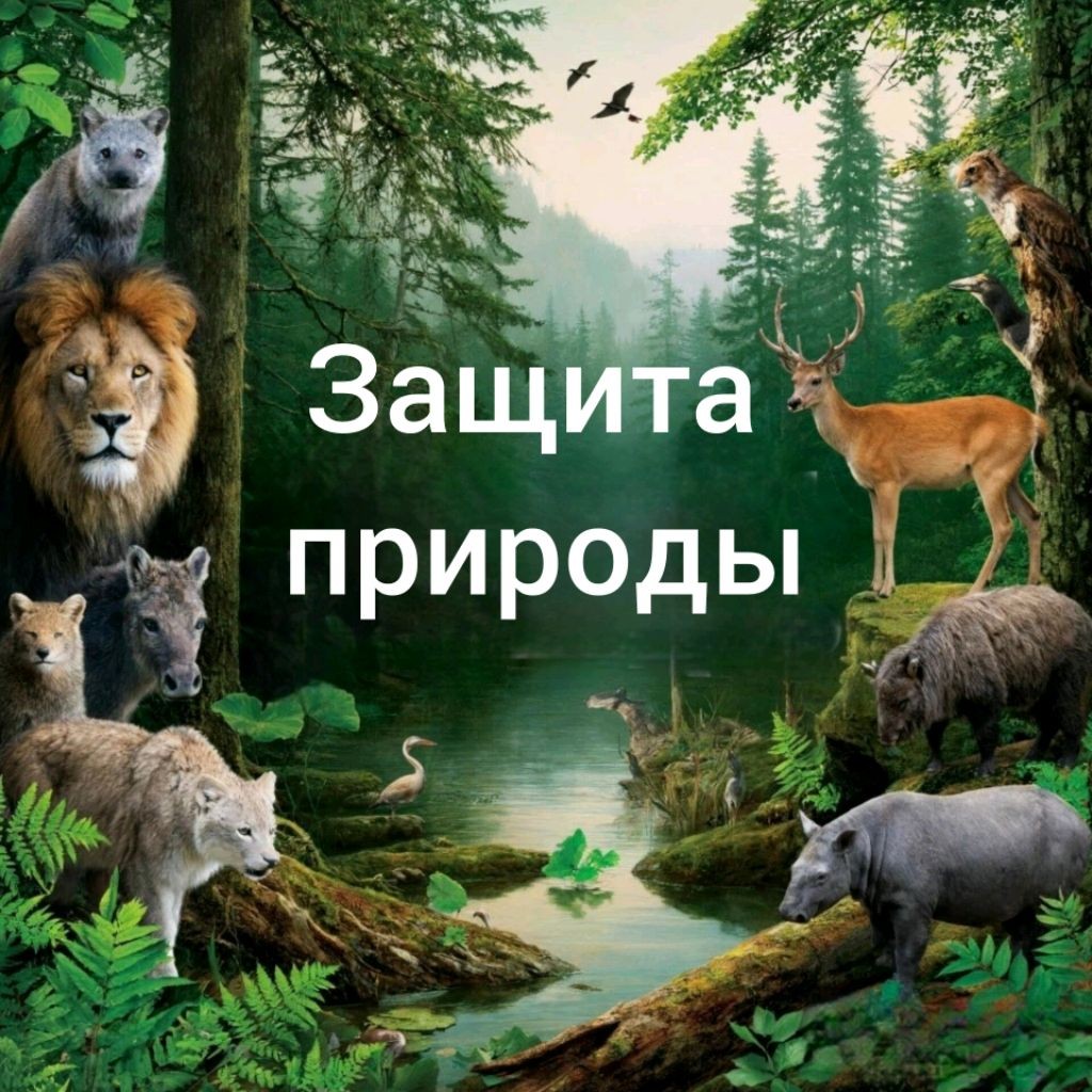 Защита природы