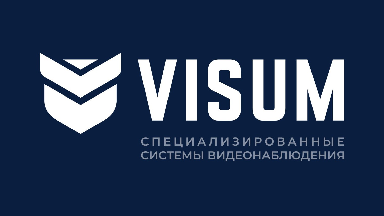 ViSUM LLC