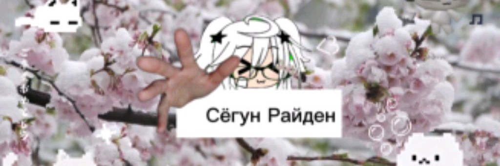 Сегун Райден👾