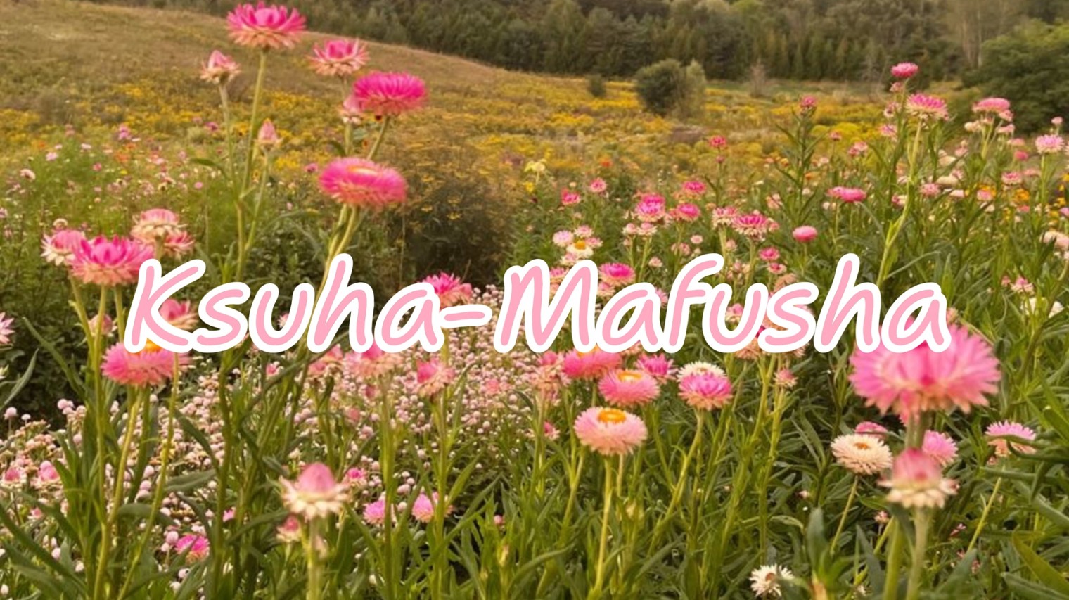 🌸Ksuha-mafusha🌸