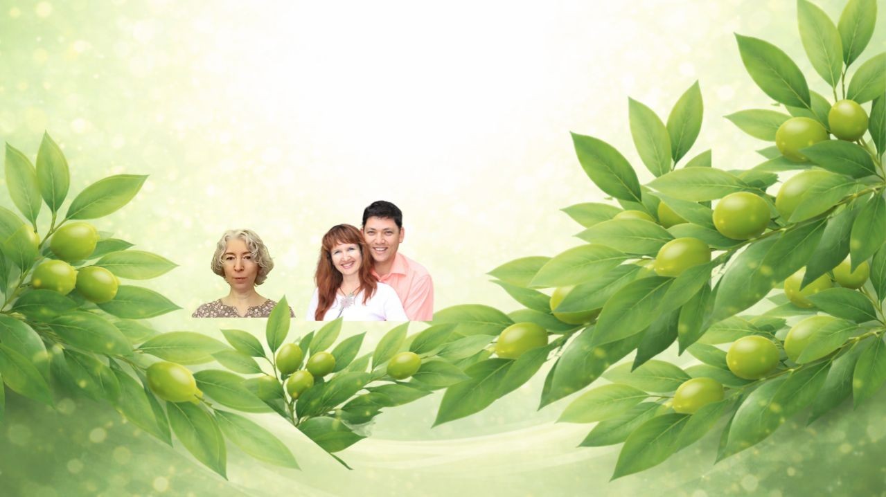 Здоровье через понимание