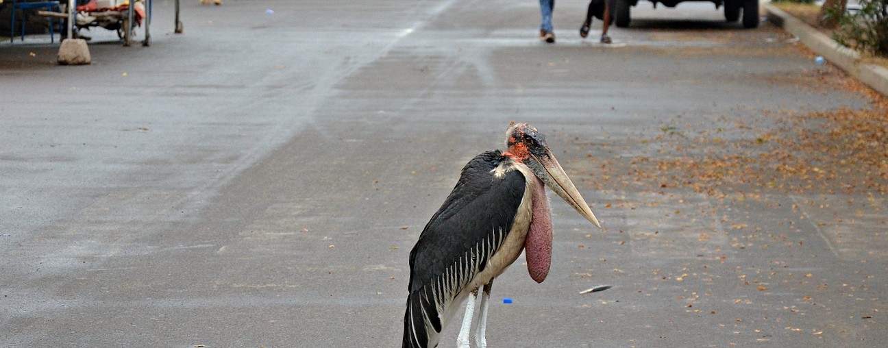 Владислав Алексеев Сергеевич