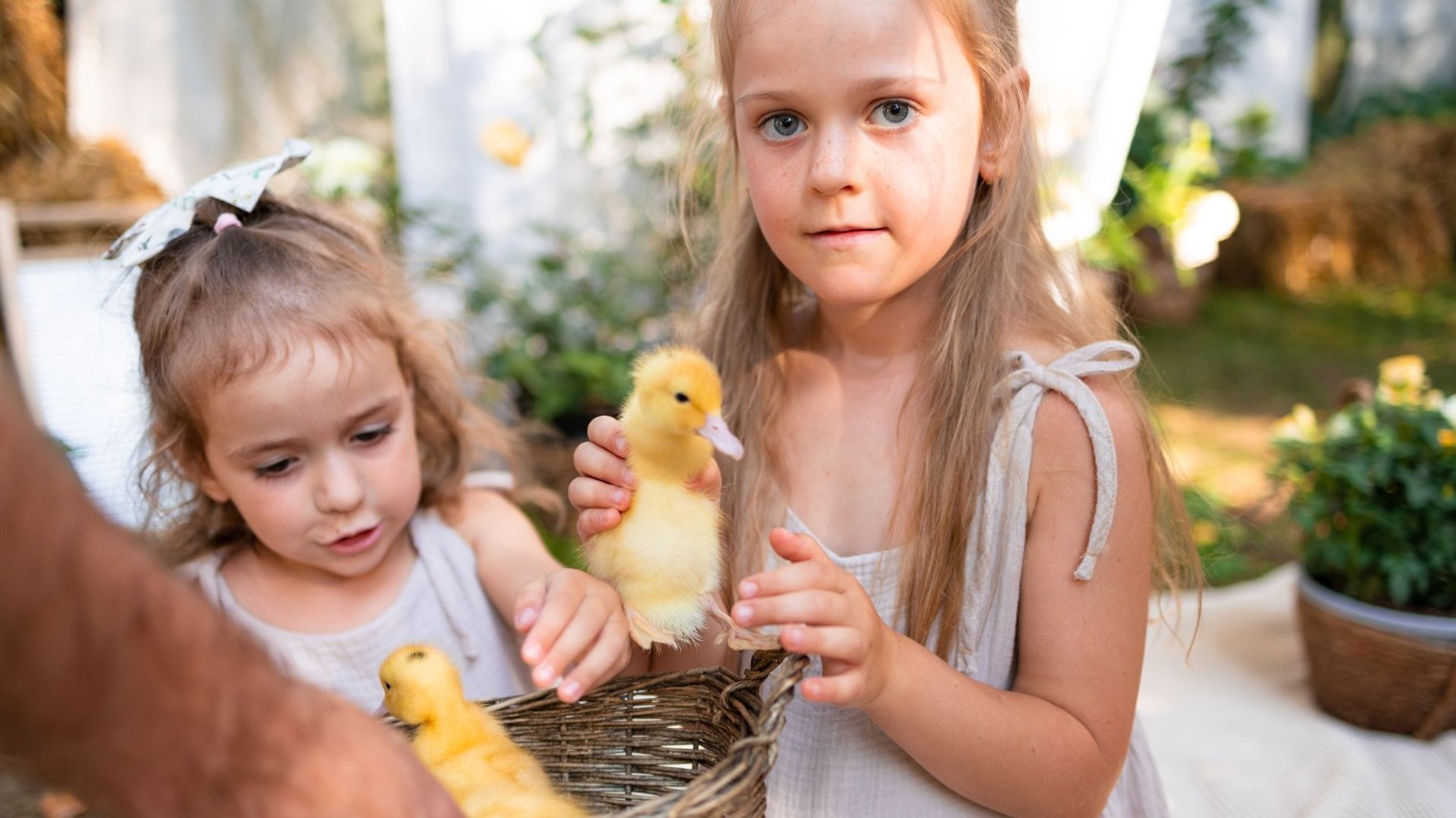 НикоЛандия