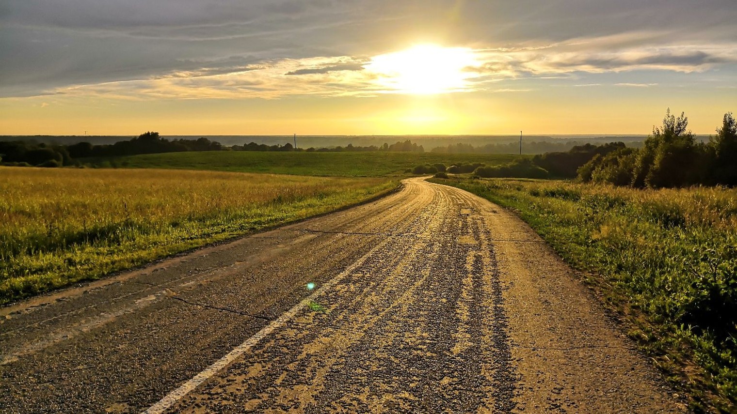 ВЕЛОСИПЕДНЫЕ ФОРМЫ ЖИЗНИ