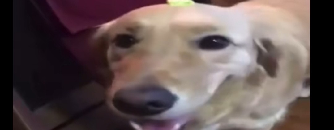 Женёк огонёк