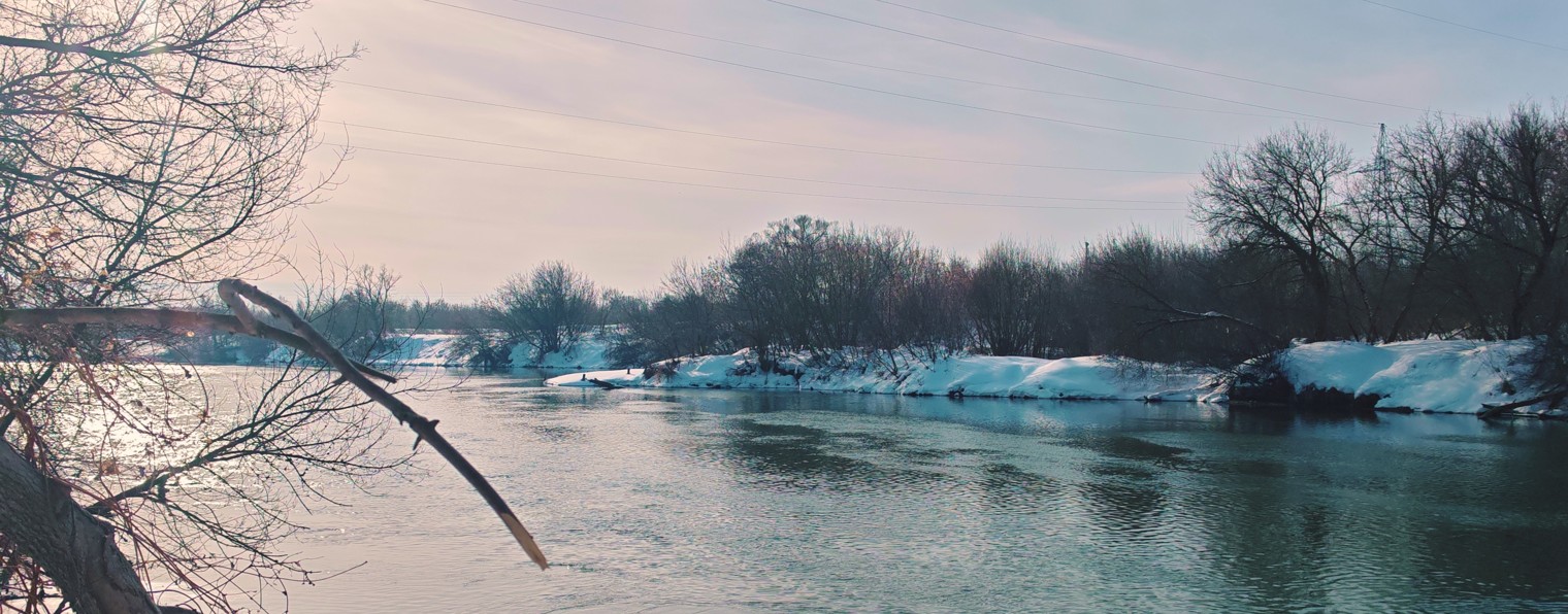 Диалоги о Мишане