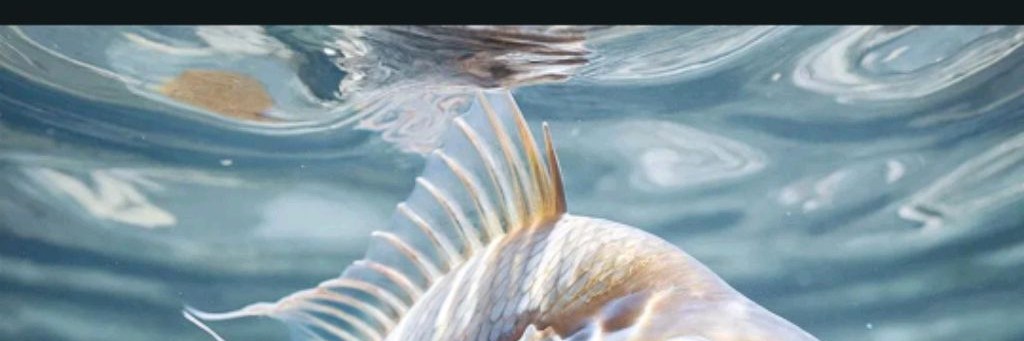 Диана Киты рулят