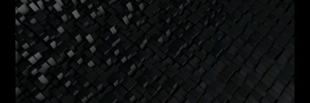 Господин Бася