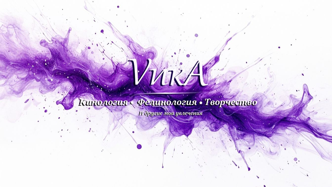 VикA: маленький мир больших увлечений