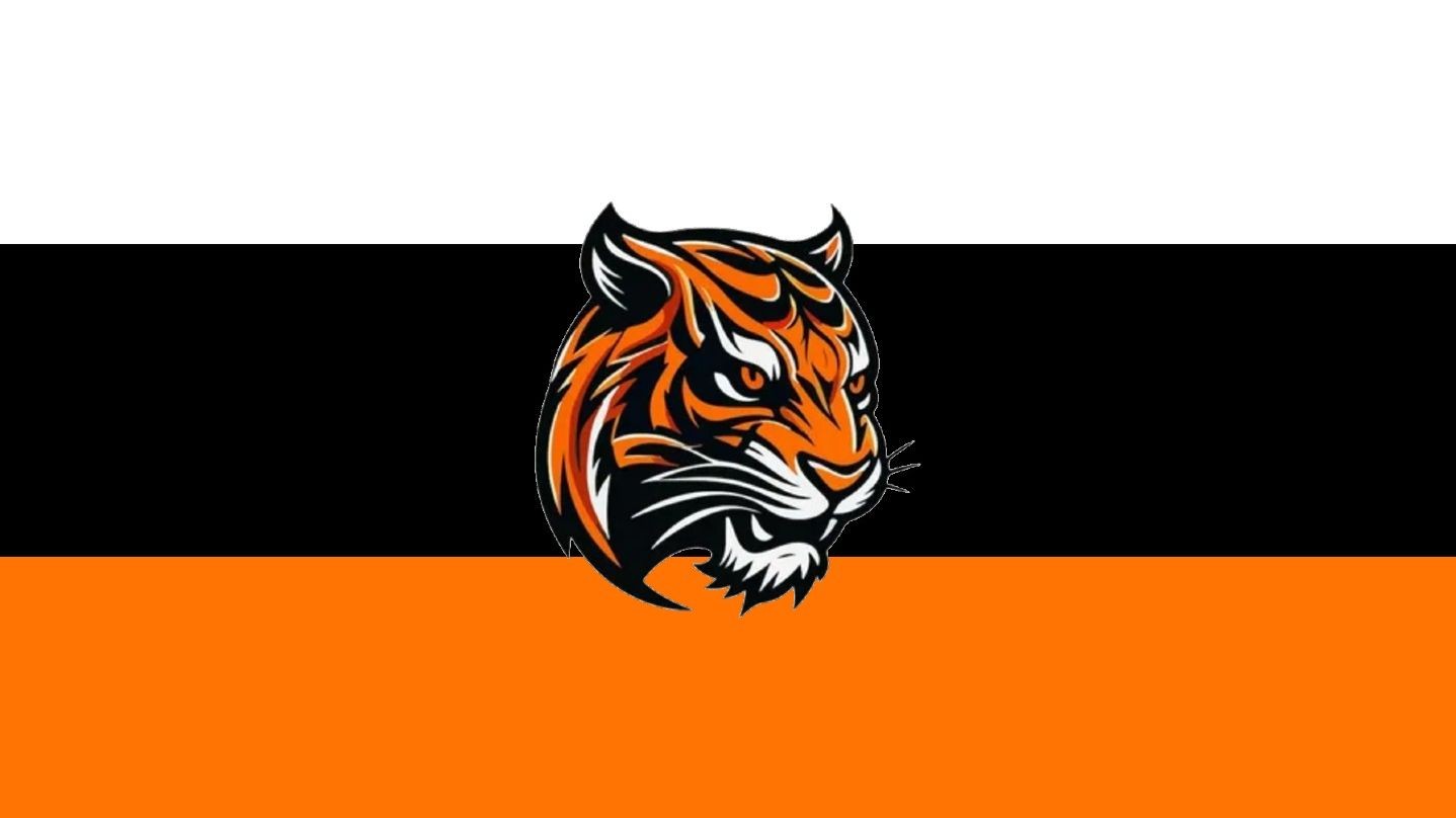 AndrewTiger Roblox ☑️🐯