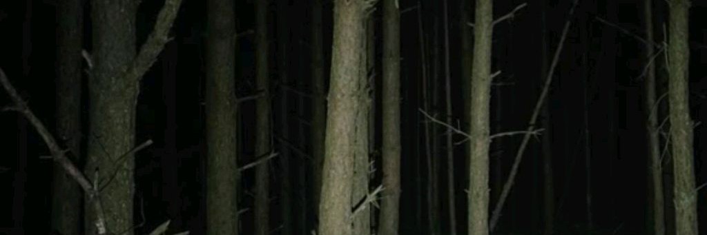 Ночной Кошмар. Страшные Истории