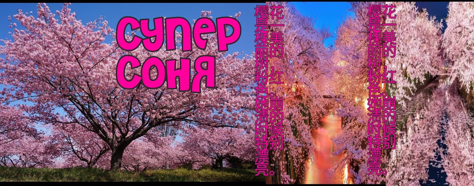 🍡🌸Супер°Соня🌸🍡
