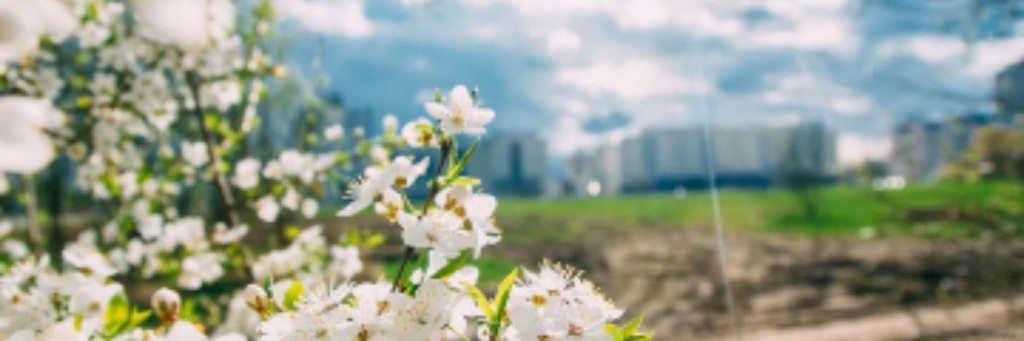 Deni_RuTuBe 🌴🌞