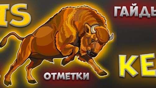 КЕРТИС- CURTIS