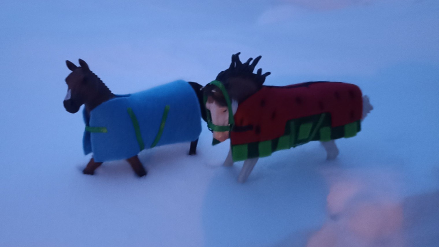 КСК ПЕГАС 🦄🪽 +  КСК ВОСХОДЯЩАЯ ЗВЕЗДА 🌟