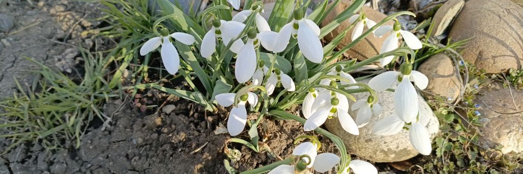 Просто Лизо4ка🧸