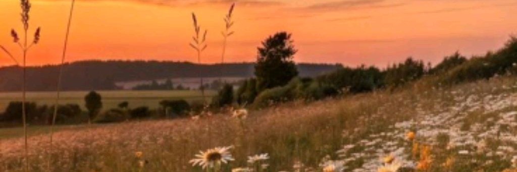 🌺Sonya и Masha🌺