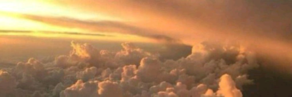 .🌙🦢°ι ᥲⲙ𐔤°🍃:3