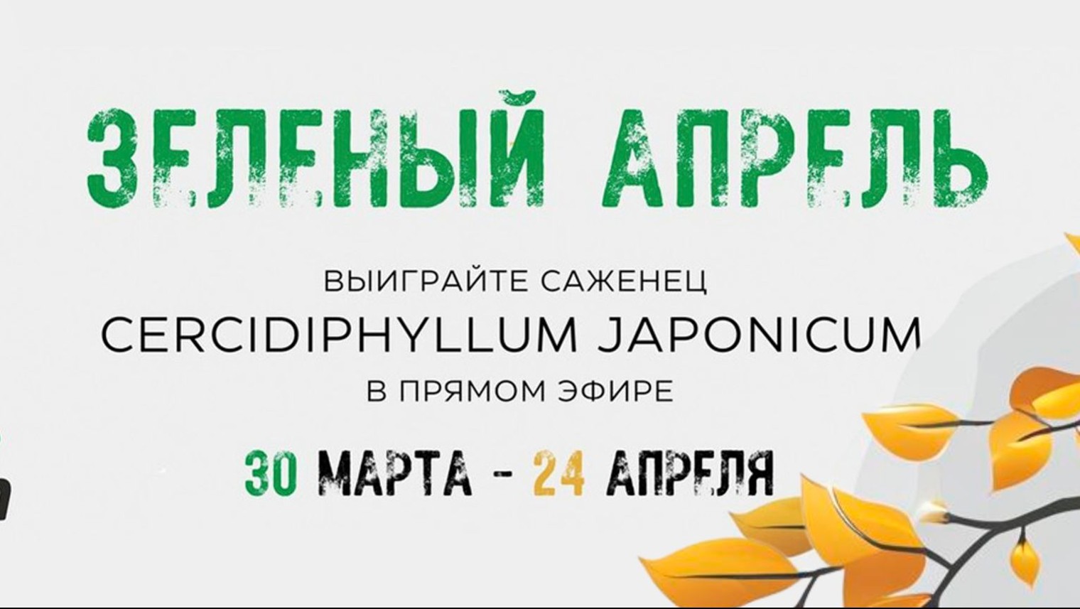 Владивосток FM