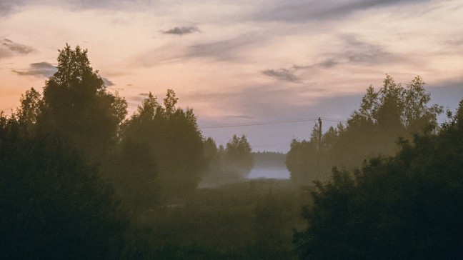 Лесными тропами