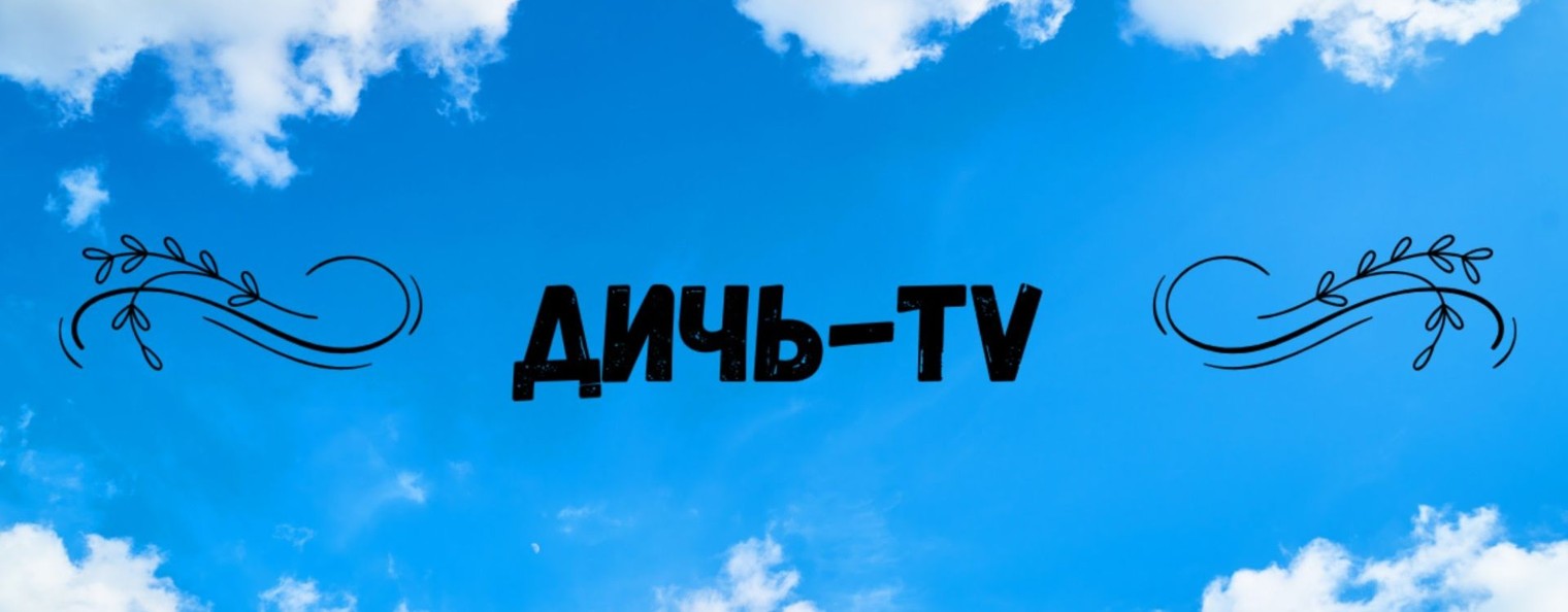 Дичь-TV