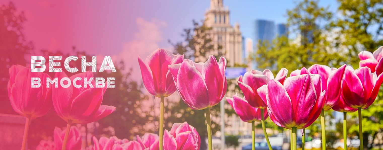 Город Москва