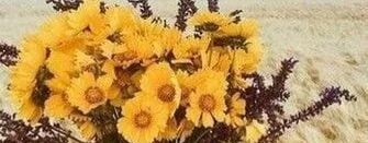 Елена. Рак 3 стадия.Онкология. Жизнь в диагнозе.