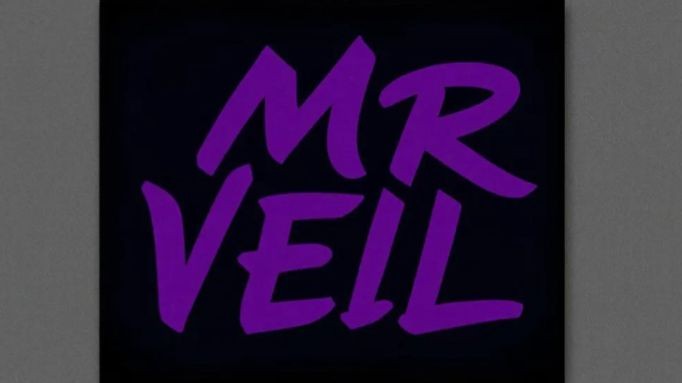 Mr Veil
