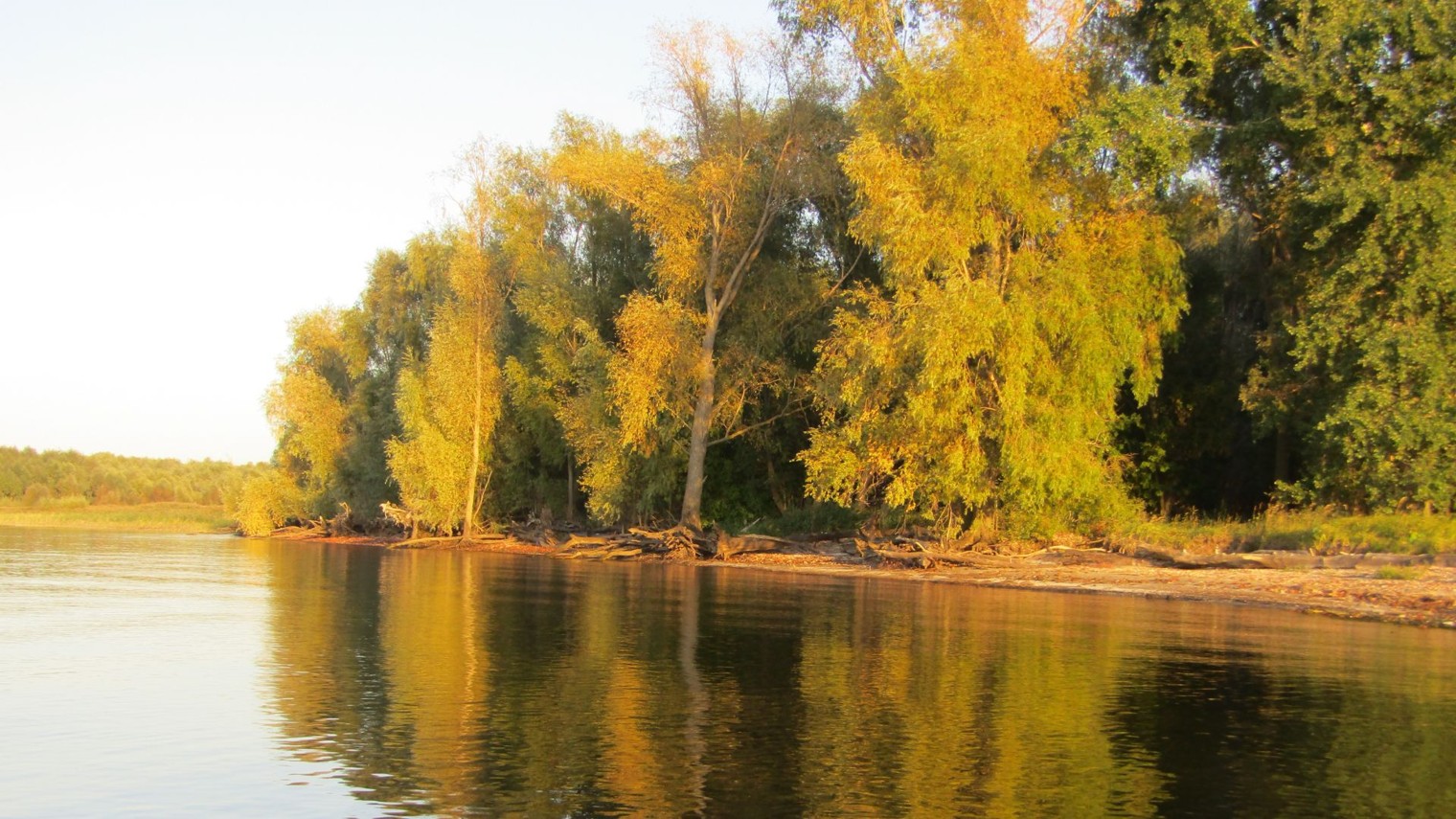 Саша Торопов+