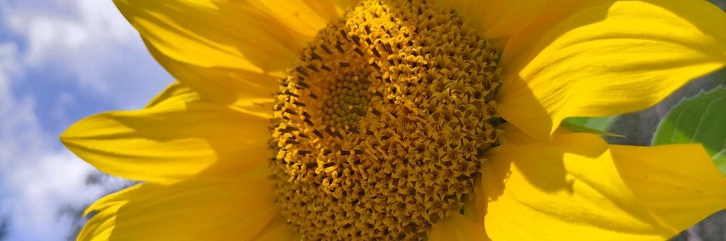 Мои руки не для скуки.