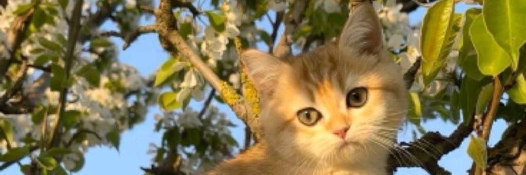 Маша Крутая