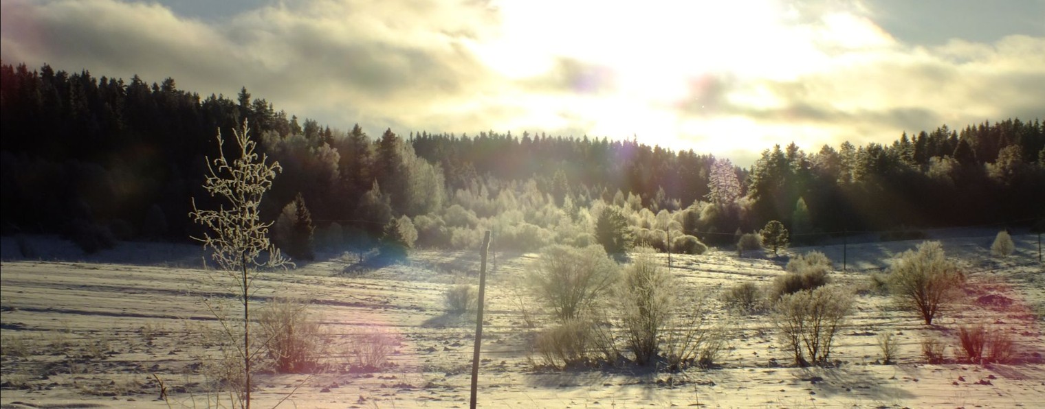 Черëмуха. Жизнь в Карелии!