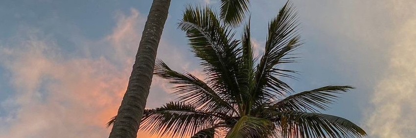 Юля о своем