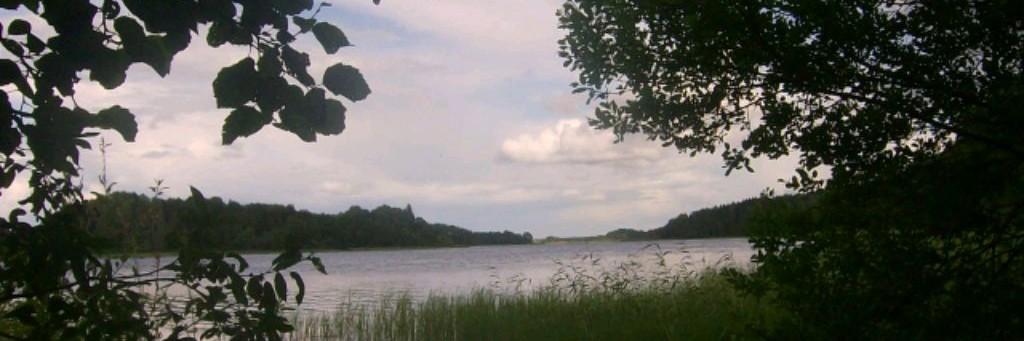 Мария Кочеткова