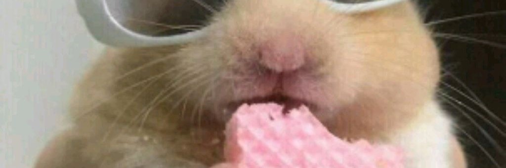 🪻🤍хомчик🐹