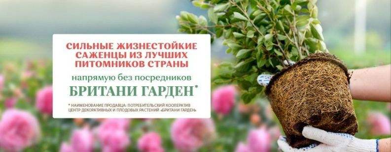 Садовый центр БРИТАНИ ГАРДЕН* в Московской области