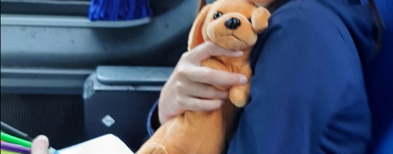 История Токи Боки❤