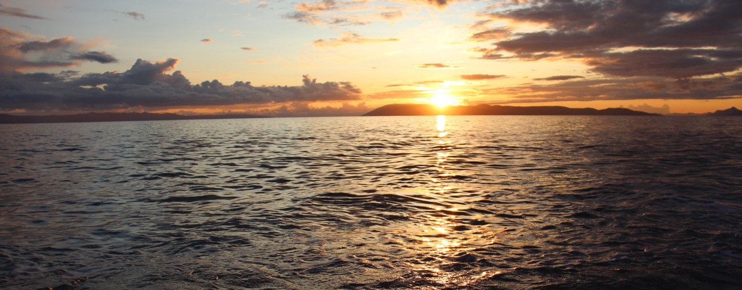 Летающие крокодилы