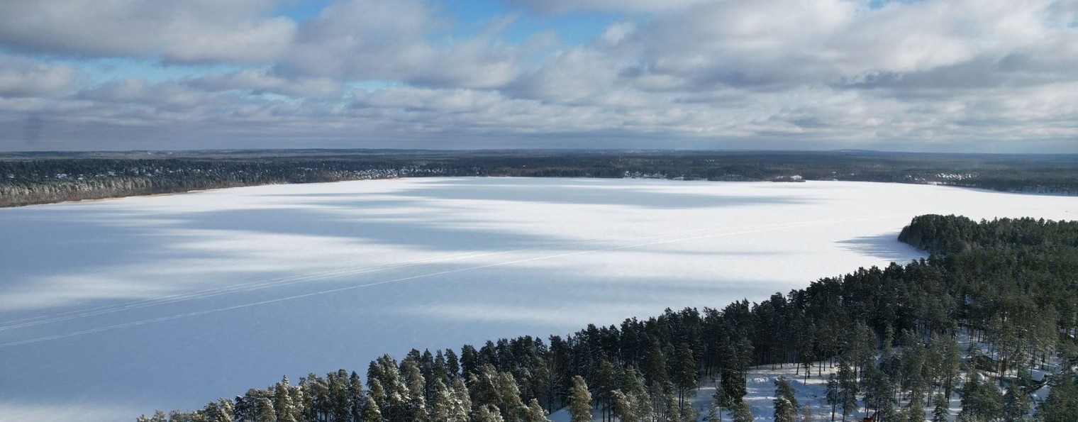 Заметки культурной Белки