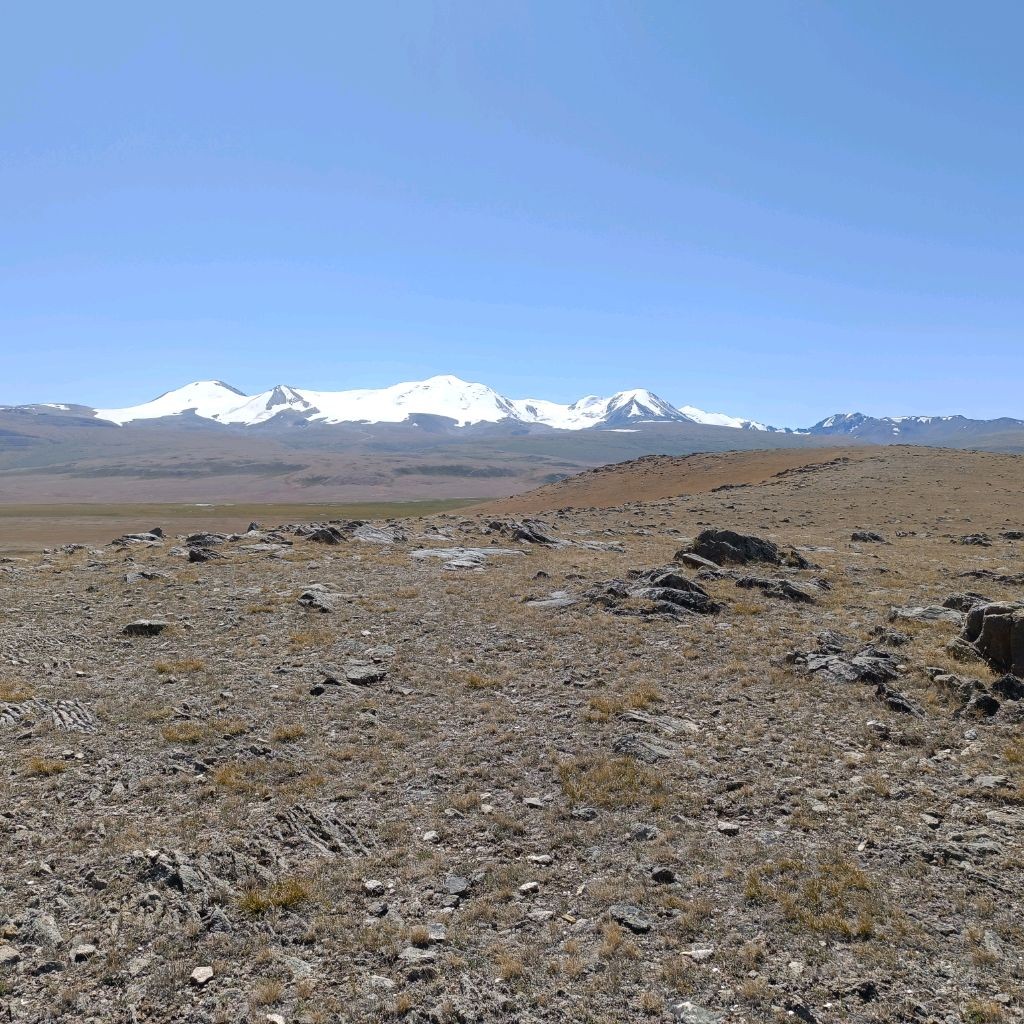 Мото Бизоны