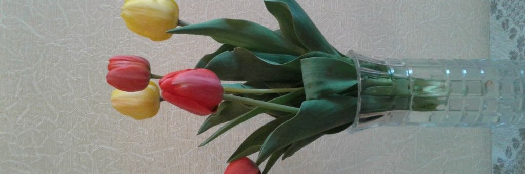 Если Нравится Заходи